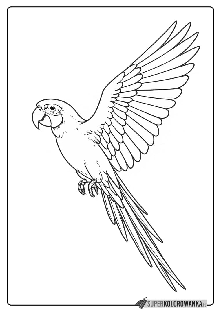 Jeżyk Kolorowanka do Druku • SuperKolorowanka.pl